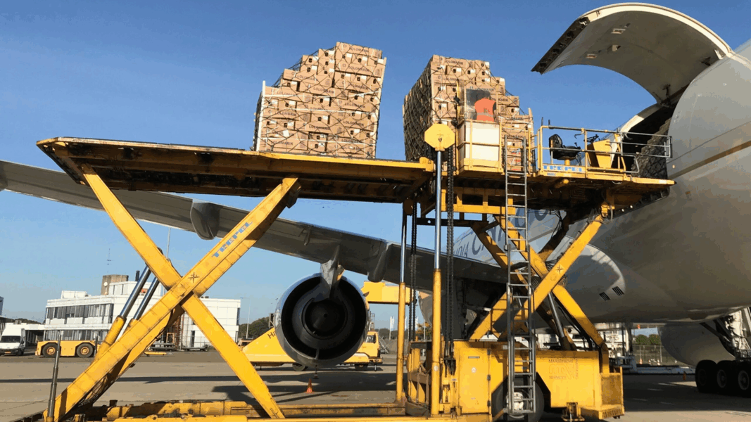 Maastricht Aachen Airport partners with FlowerWatch to drive perishable ...