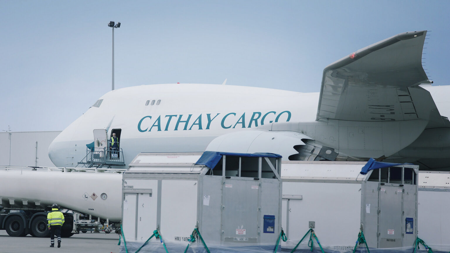 Cathay Cargo returns to fly elite equine athletes to Hong Kong's ...