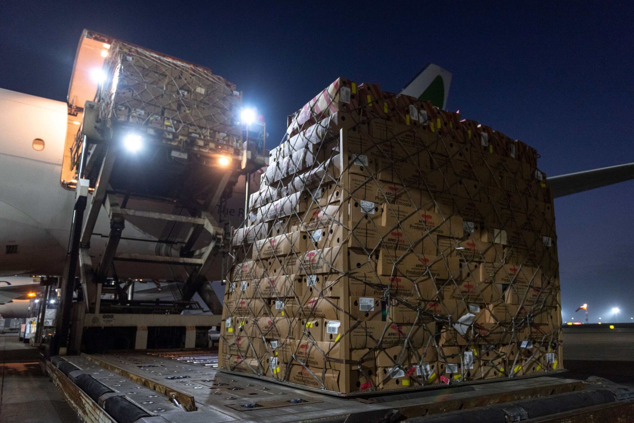 CargoLand by LGG powers Valentine's Day flower logistics - Payload Asia