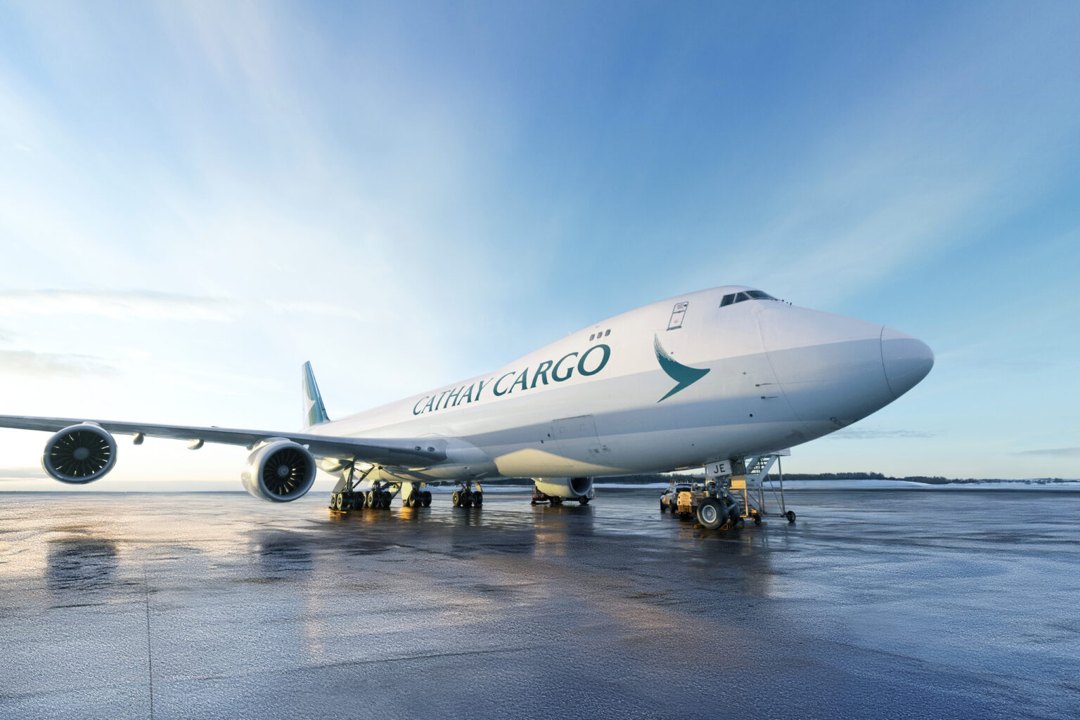 Cathay Cargo's equine edge: Where live animal logistics meets network ...