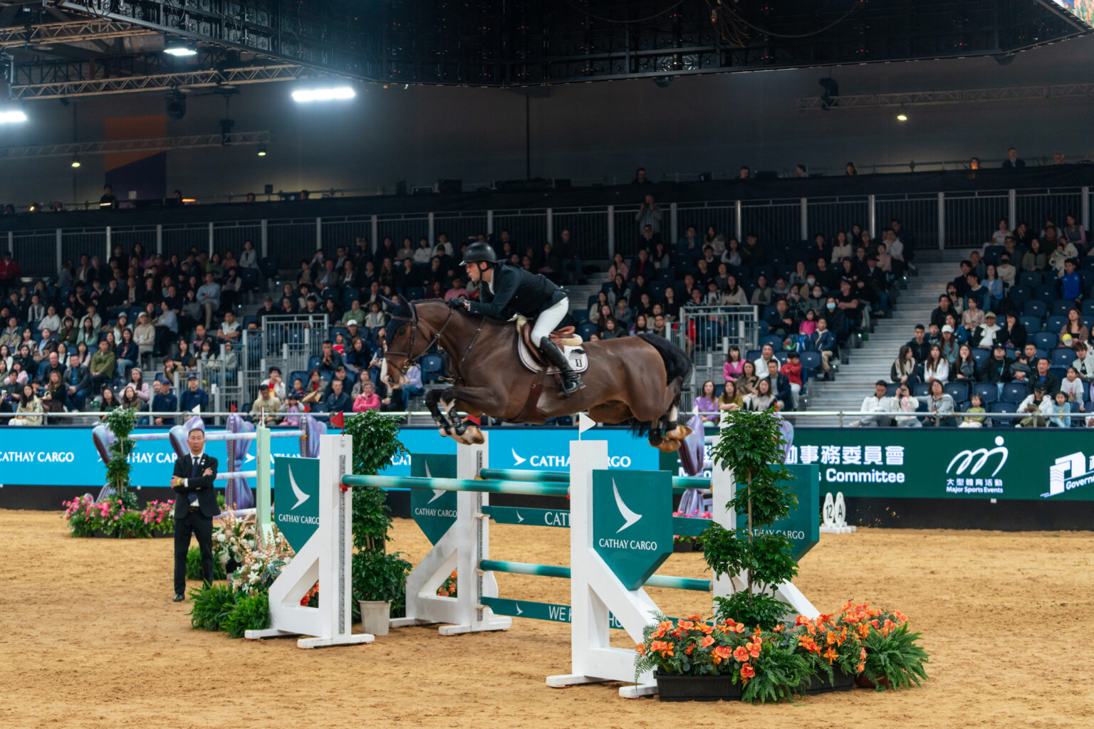 Cathay Cargo's equine edge: Where live animal logistics meets network ...