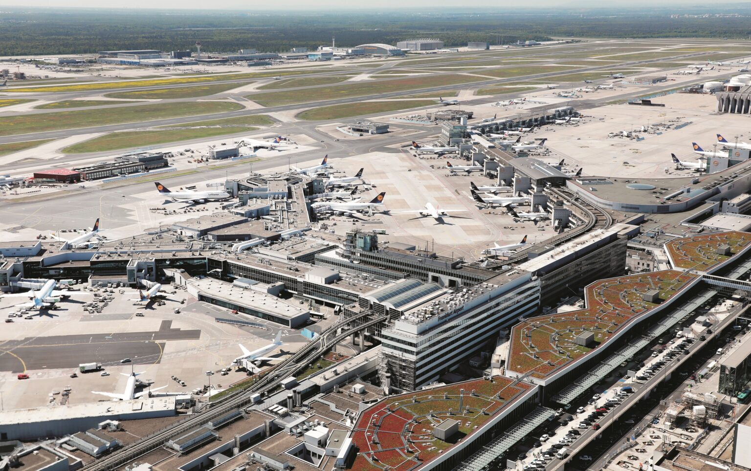 Frankfurt Airport returns to passenger growth in May as holiday travel ...
